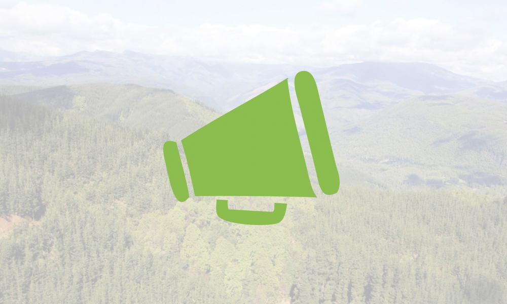 FSC database functionality | Forest Stewardship Council UK