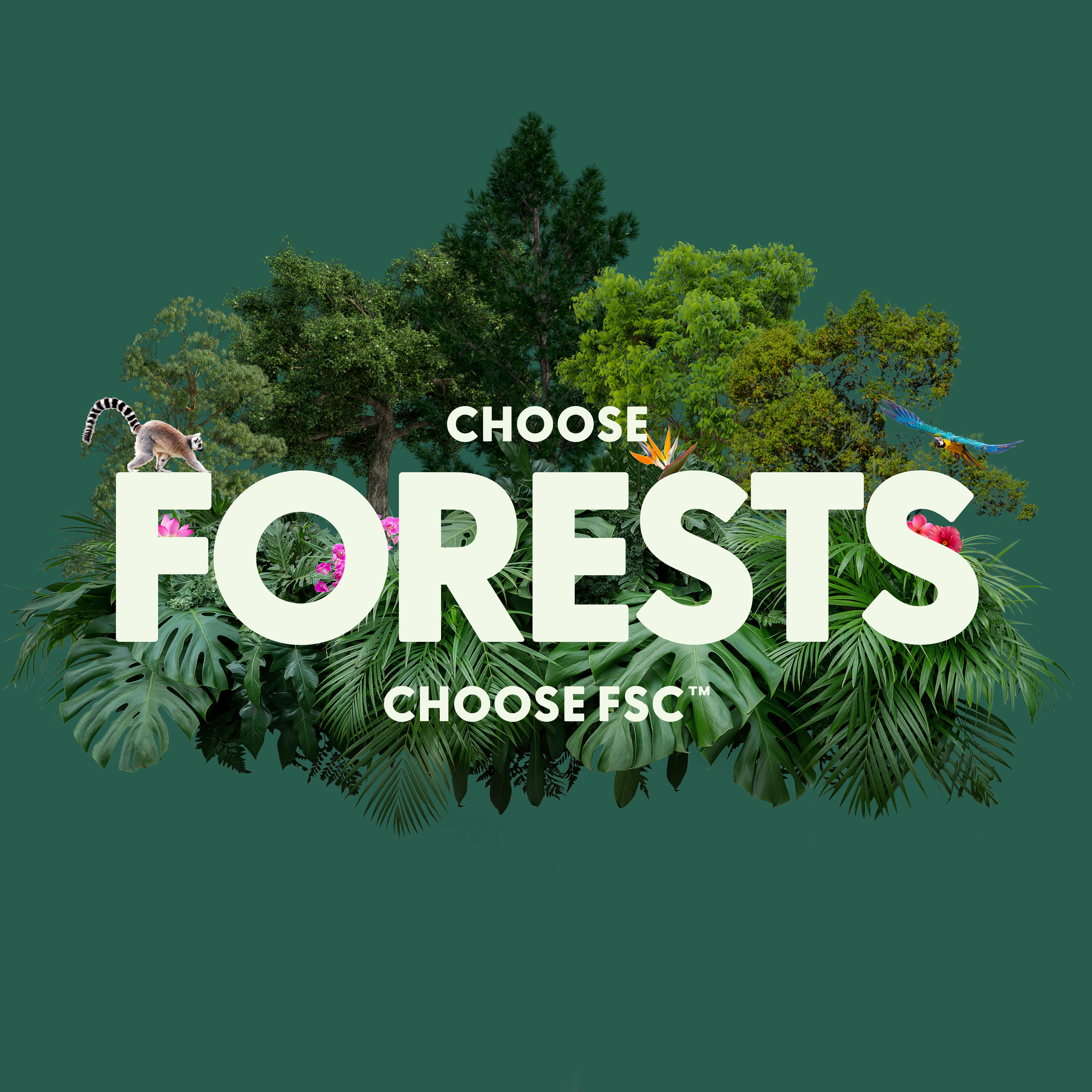 FSC Forest Week - Campaign recap of 2022 and register for 2023 | Forest ...