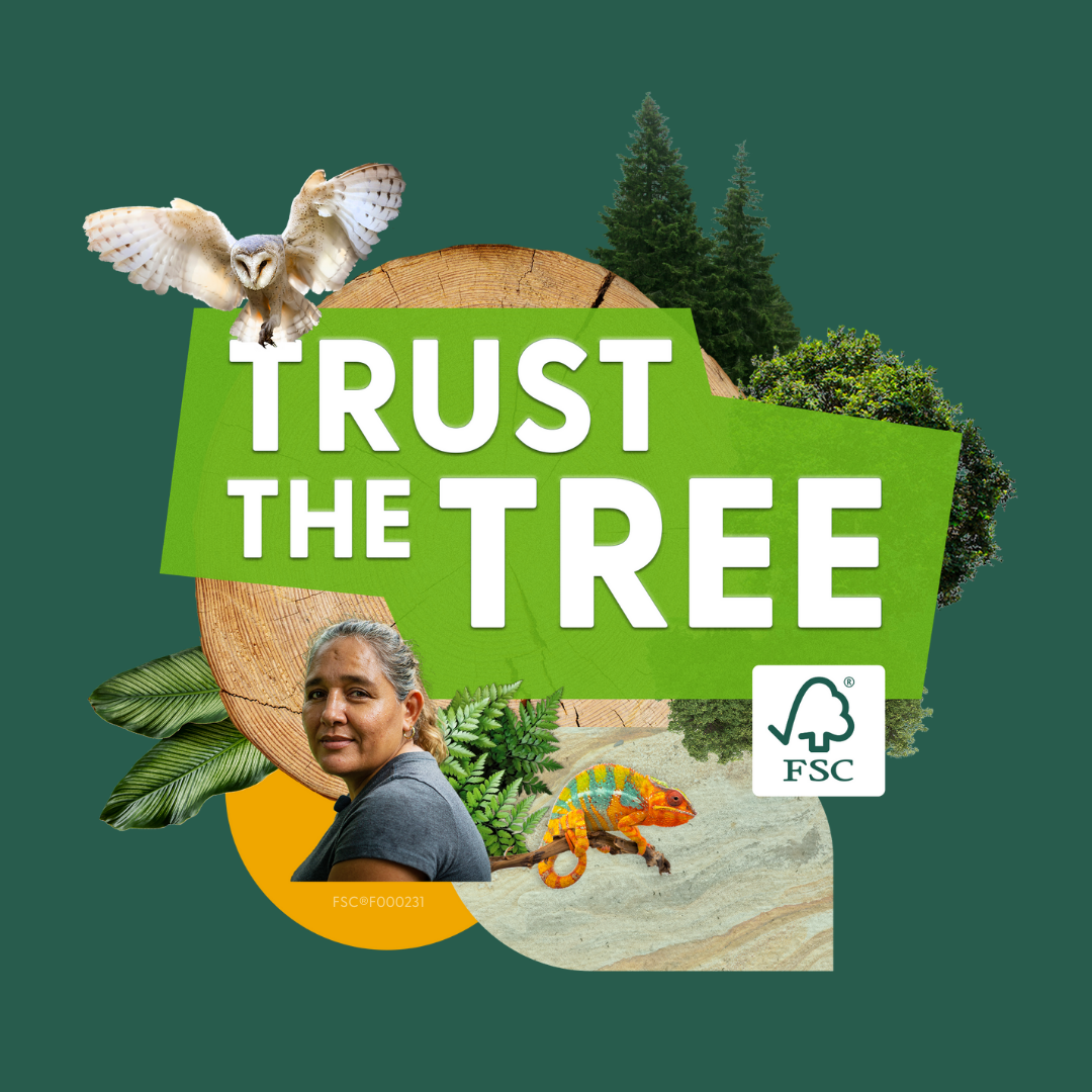 FSC Forest Week 2023 Recap | Forest Stewardship Council UK