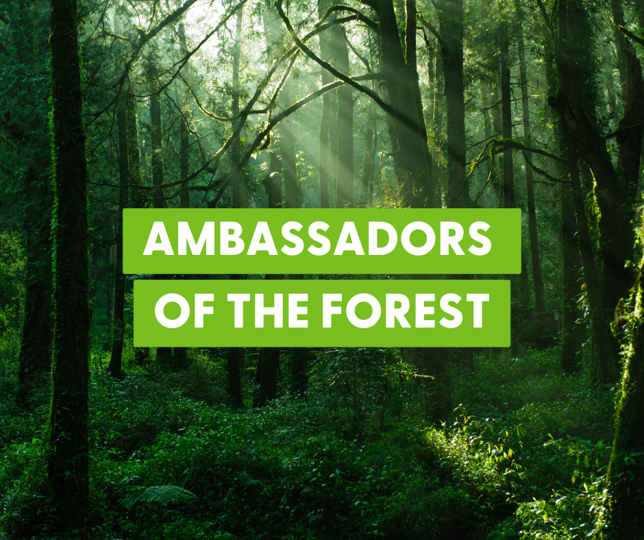 Businesses can change the course of climate change | Forest Stewardship ...