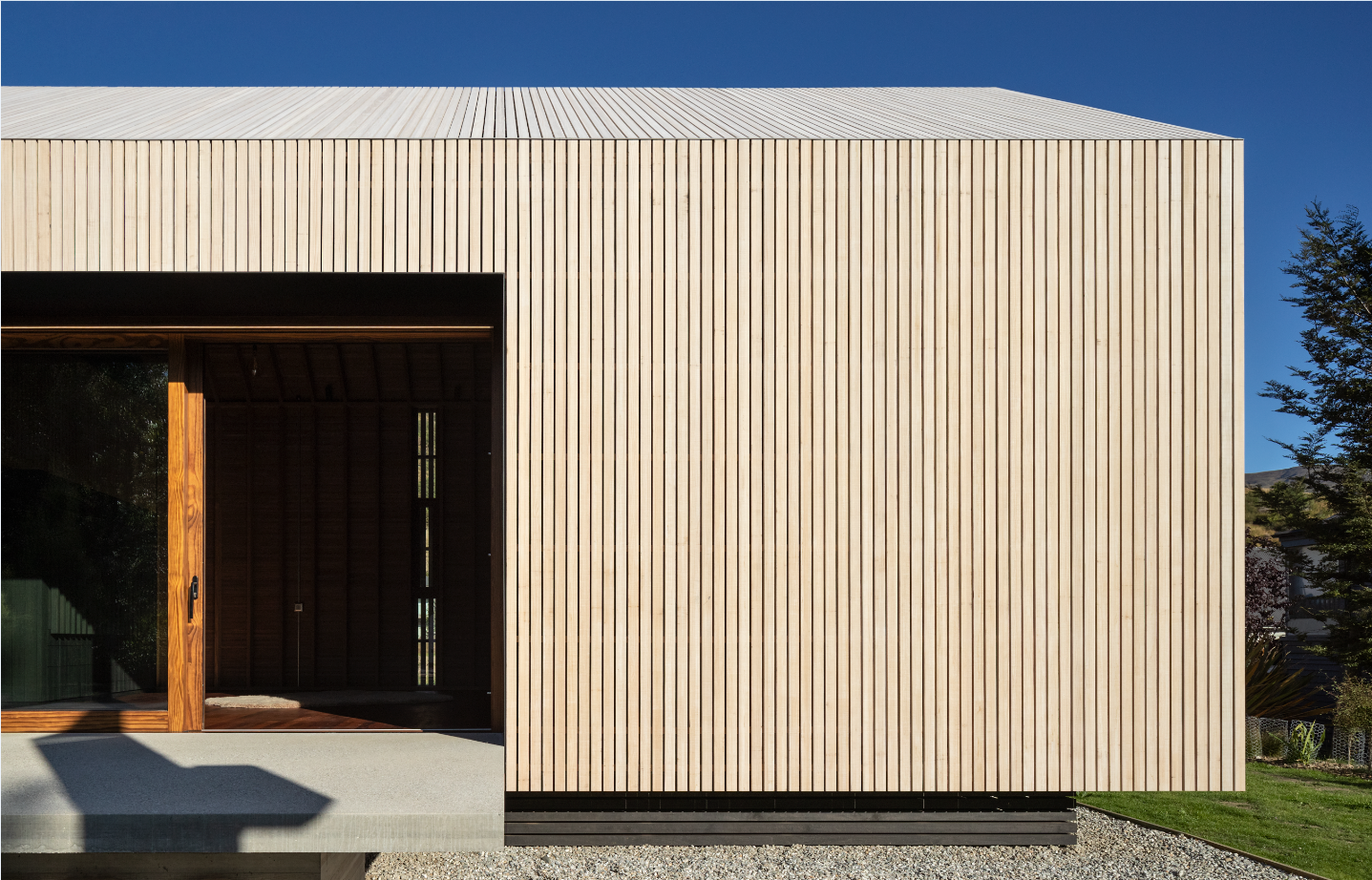 Abodo: Carefully Crafted Timber with Tomorrow in Mind | Forest ...