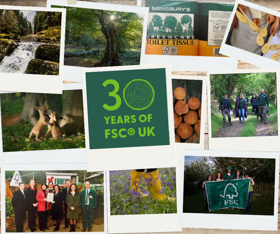 Looking back at the first 10 years of FSC UK | Forest Stewardship ...