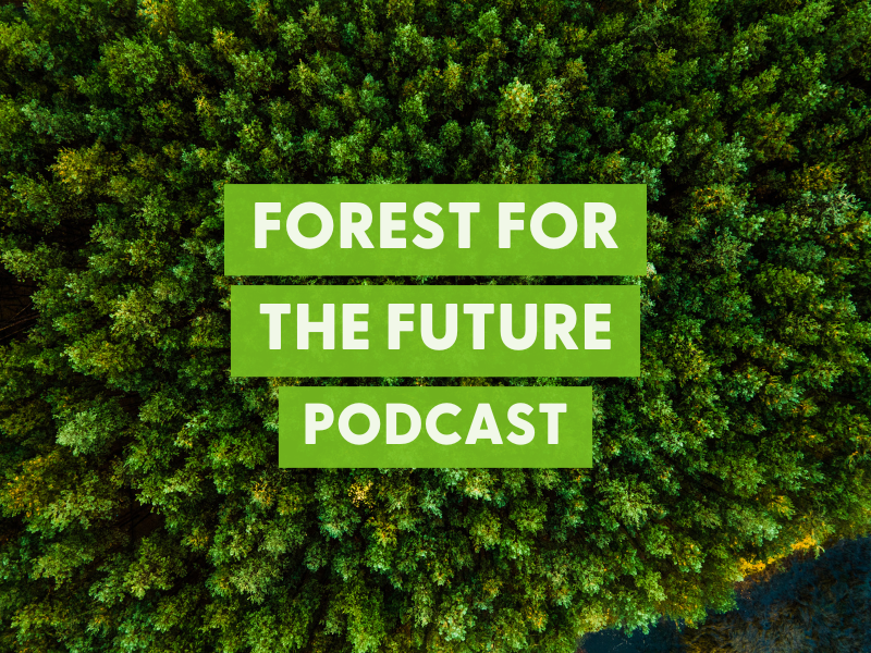 New podcast episode out: Demystifying FSC Chain of Custody audits ...