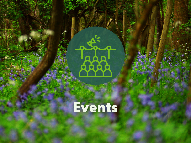 Sustainable Forestry Forum: Scaling Forest Solutions for Nature and ...