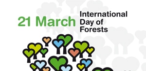 International Day of Forests | Forest Stewardship Council UK