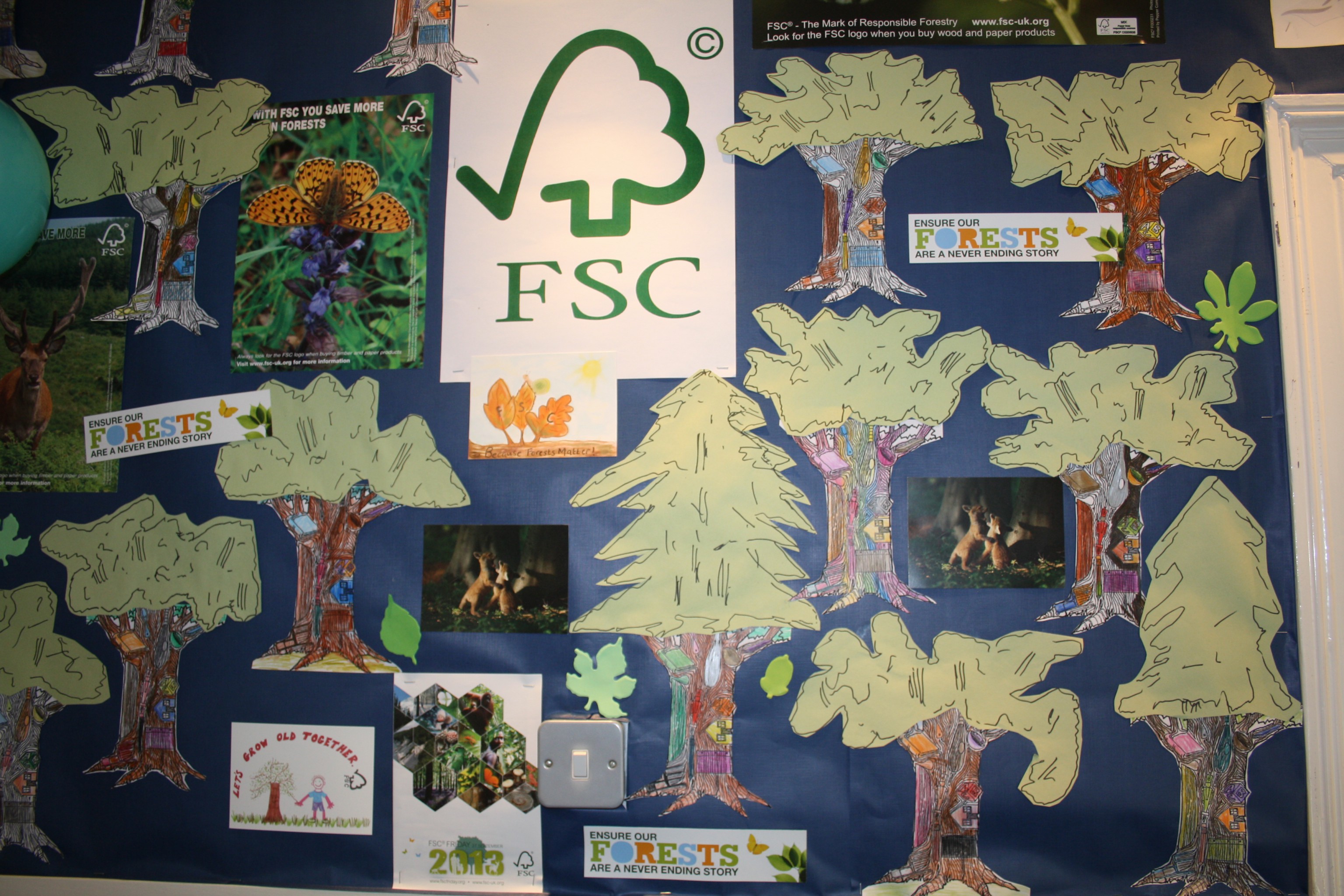It’s Septimber at FSC! | Forest Stewardship Council UK