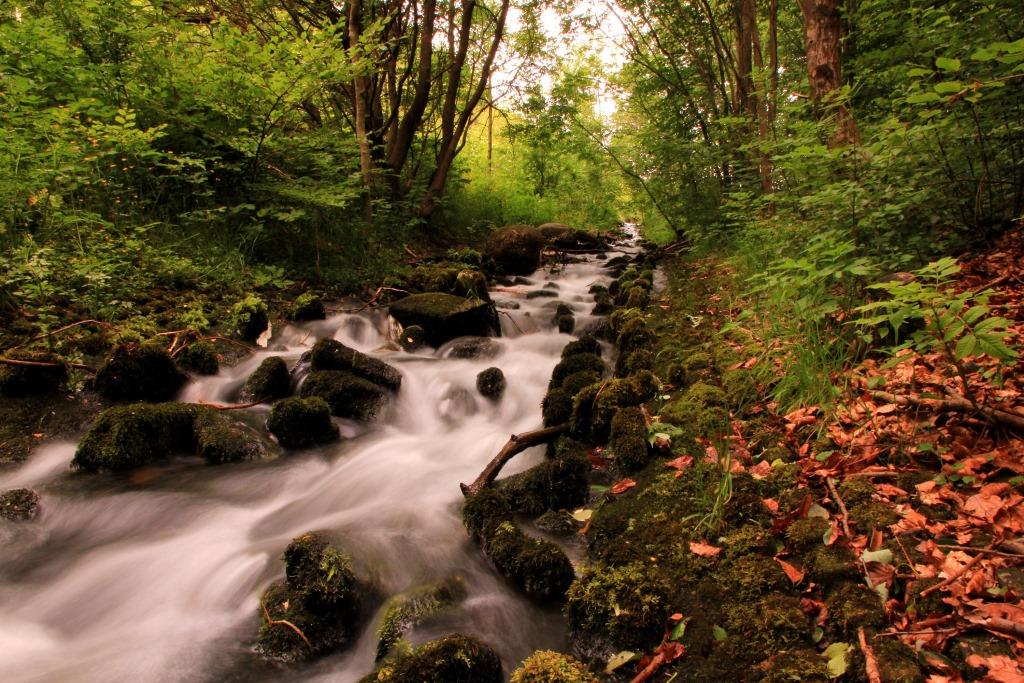 FSC UK Annual Review reveals 50% of UK recognise FSC logo | Forest ...