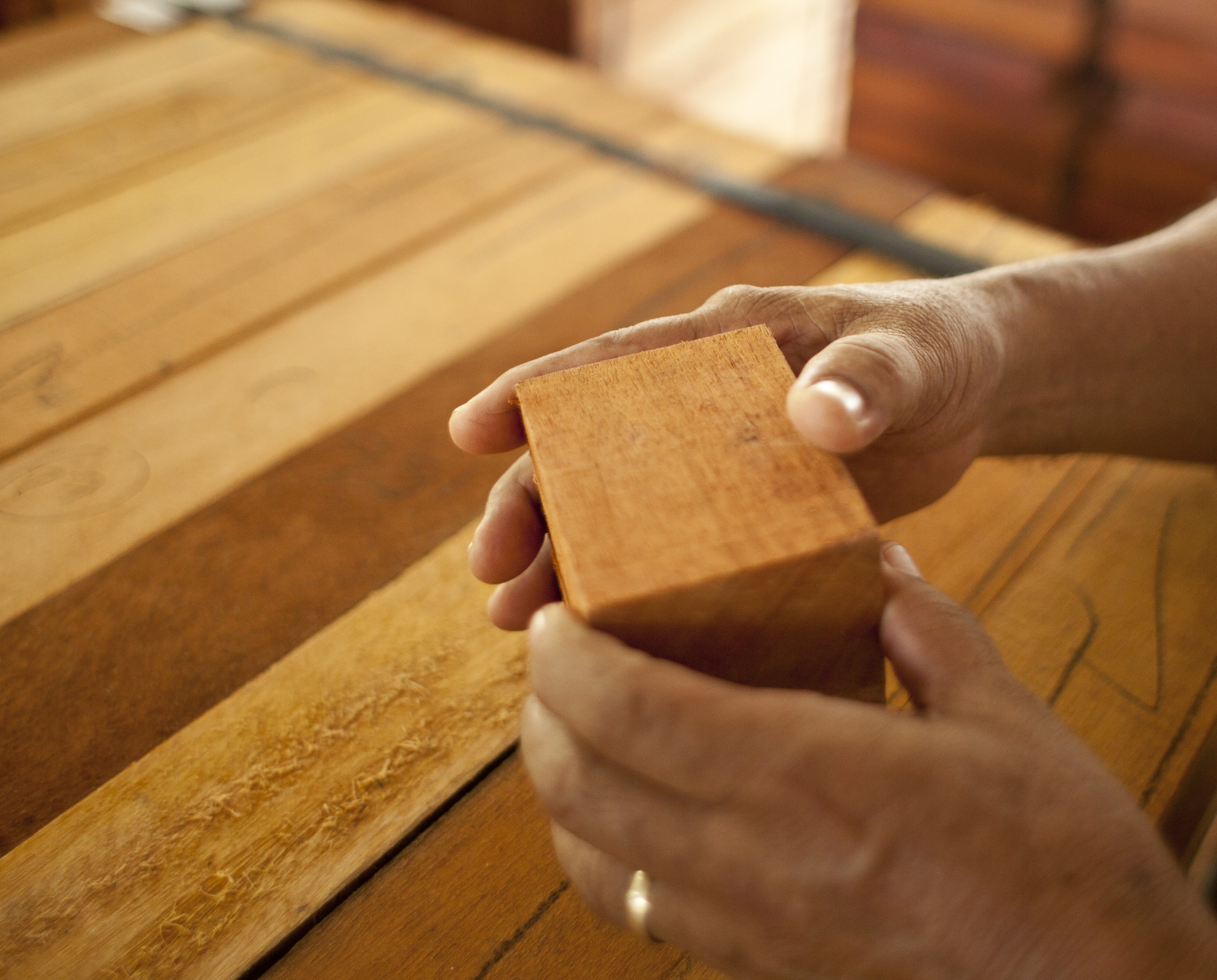 Major British businesses join with WWF to tackle forest destruction ...