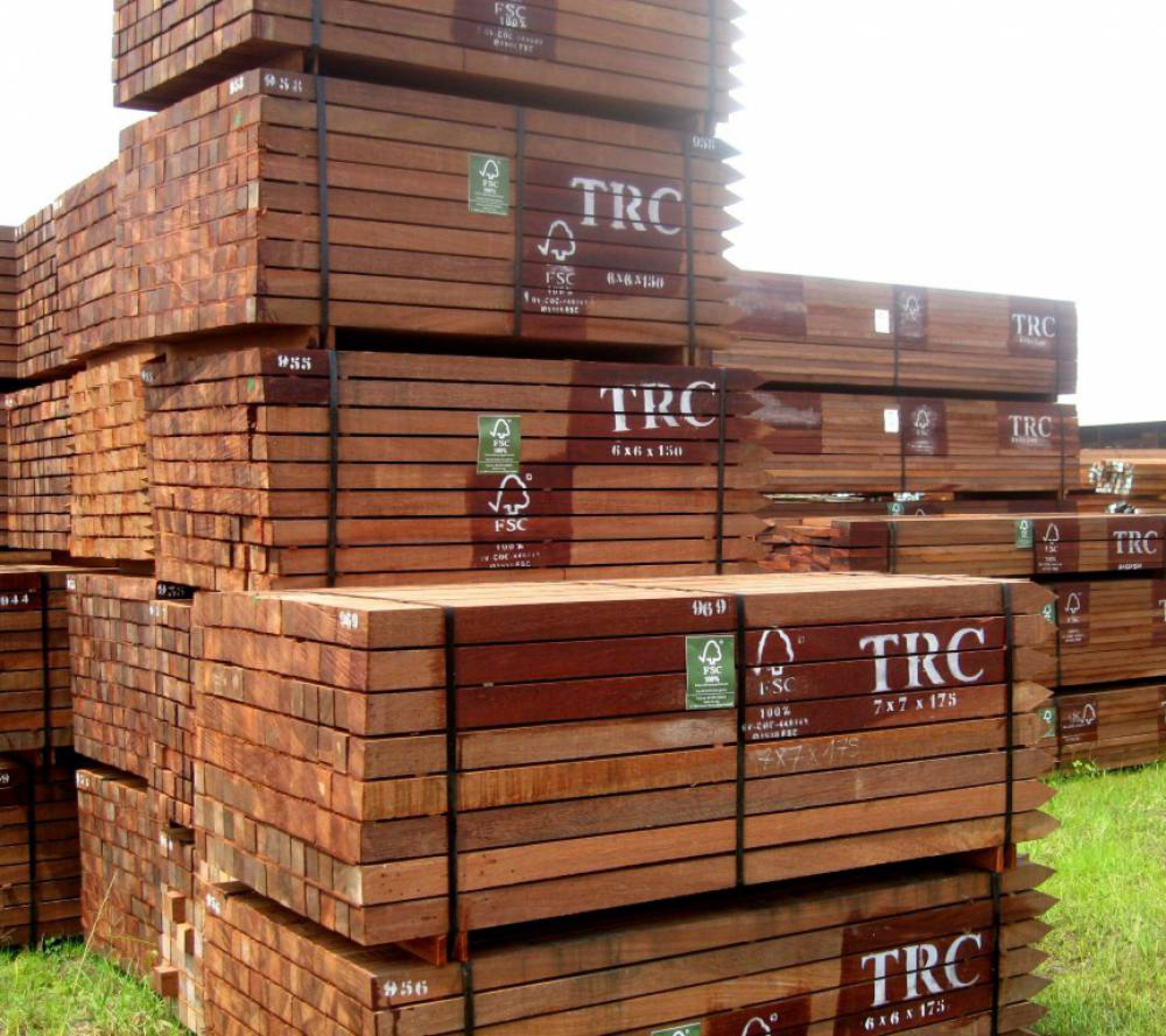 UK Timber Regulation Webinar | Forest Stewardship Council UK