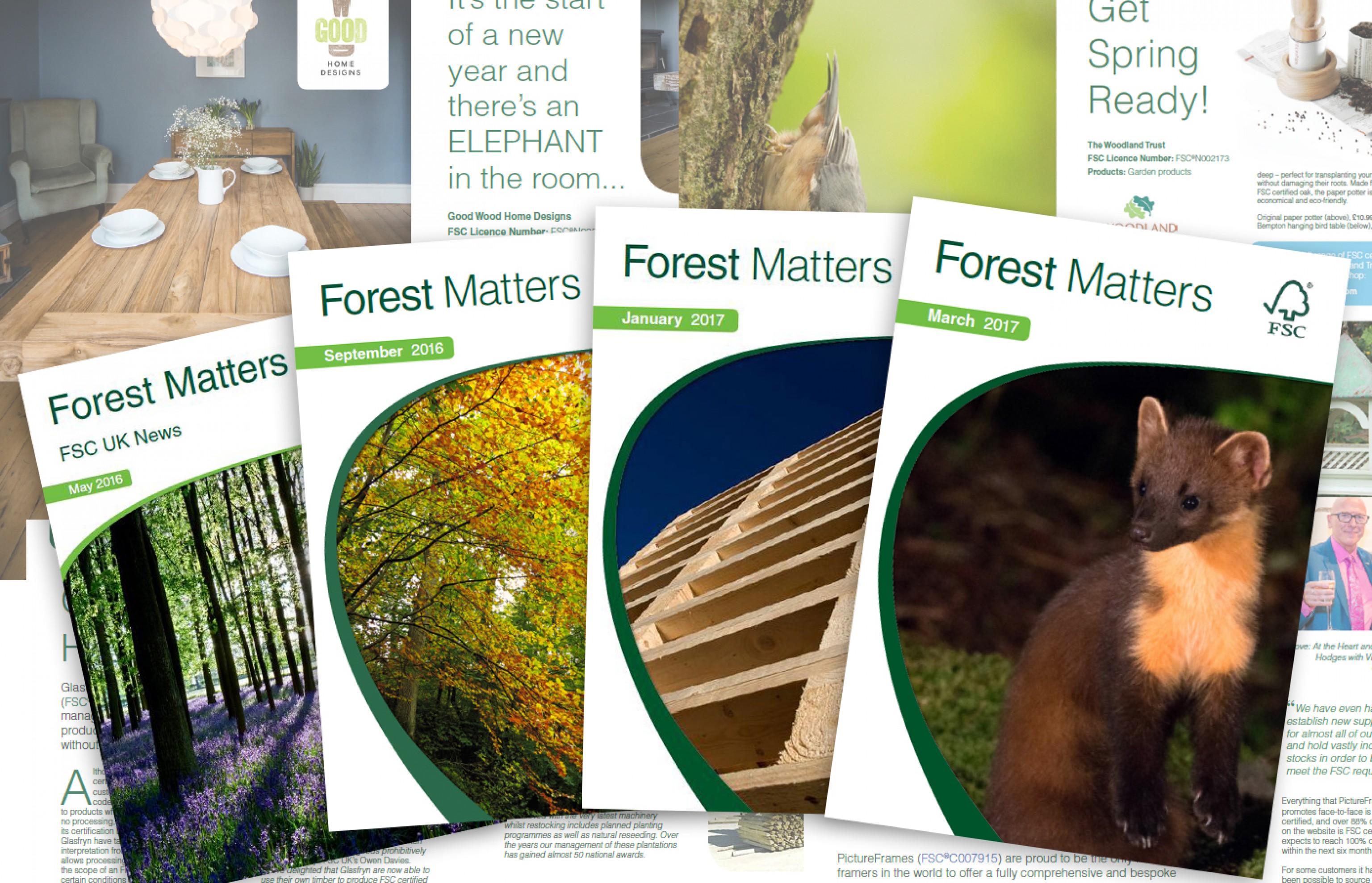 The October edition of Forest Matters is out now | Forest Stewardship ...