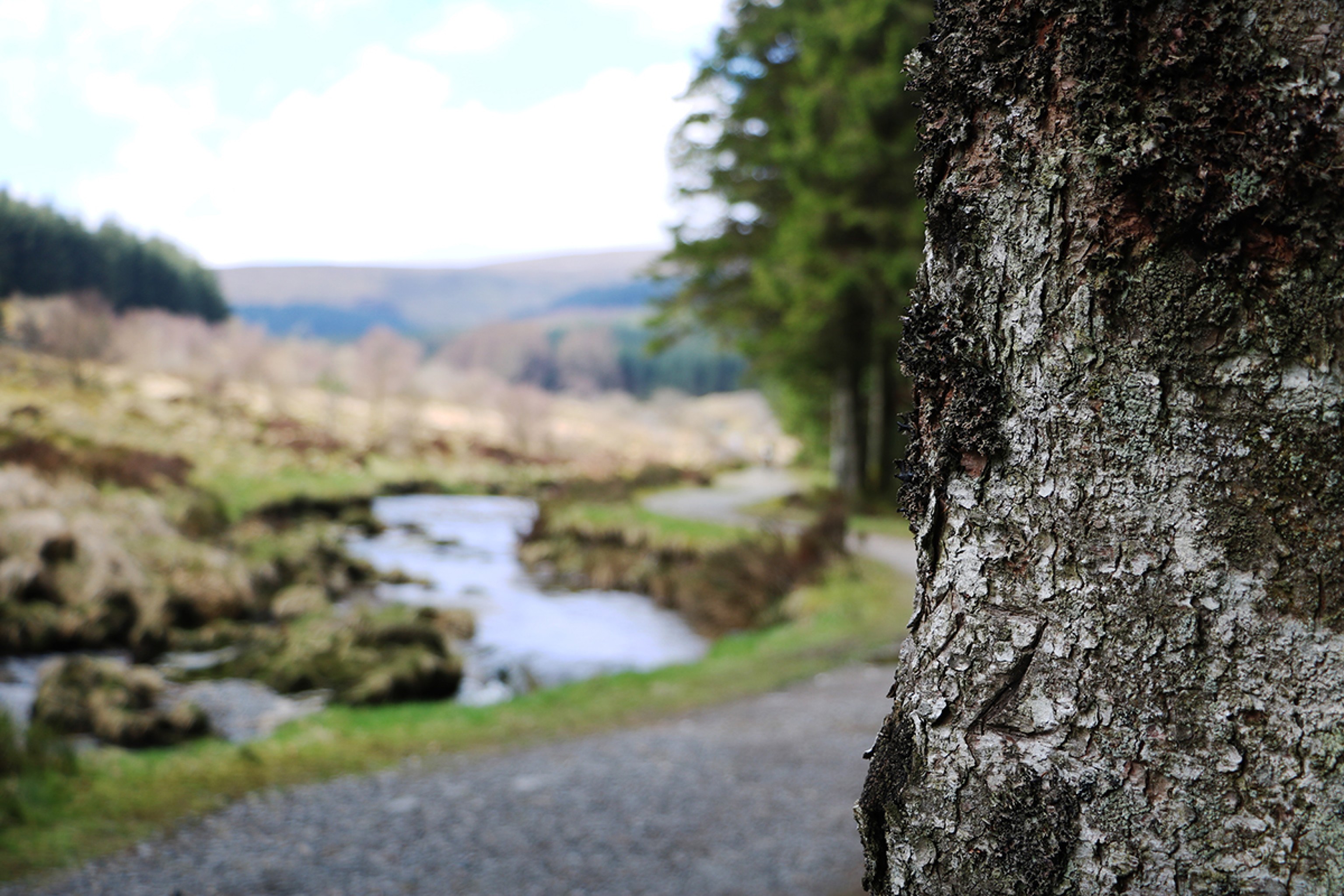 New International Generic Indicators (IGIS) Are Effective Immediately ...