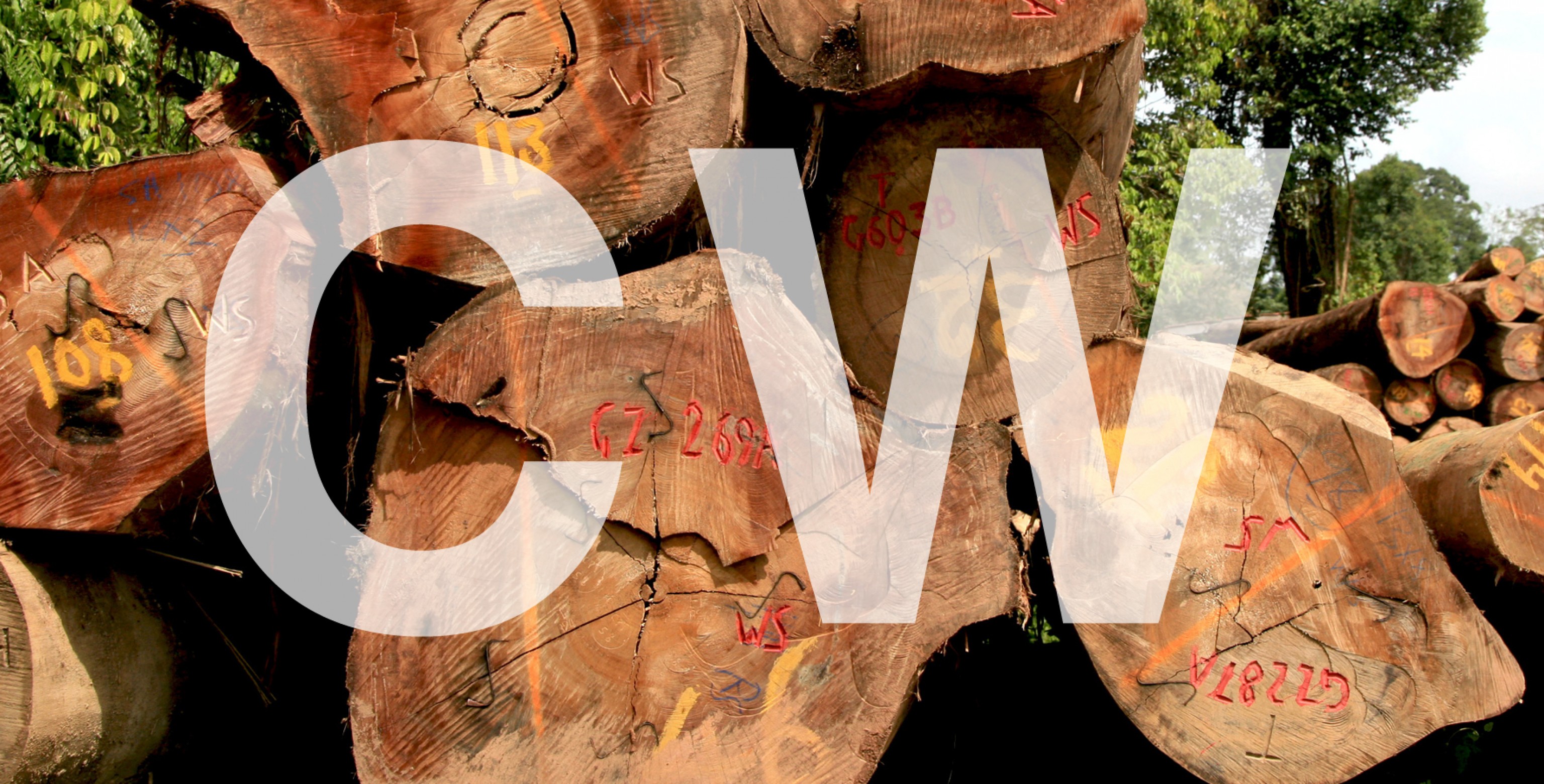 New UK Controlled Wood National Risk Assessment Published | Forest ...