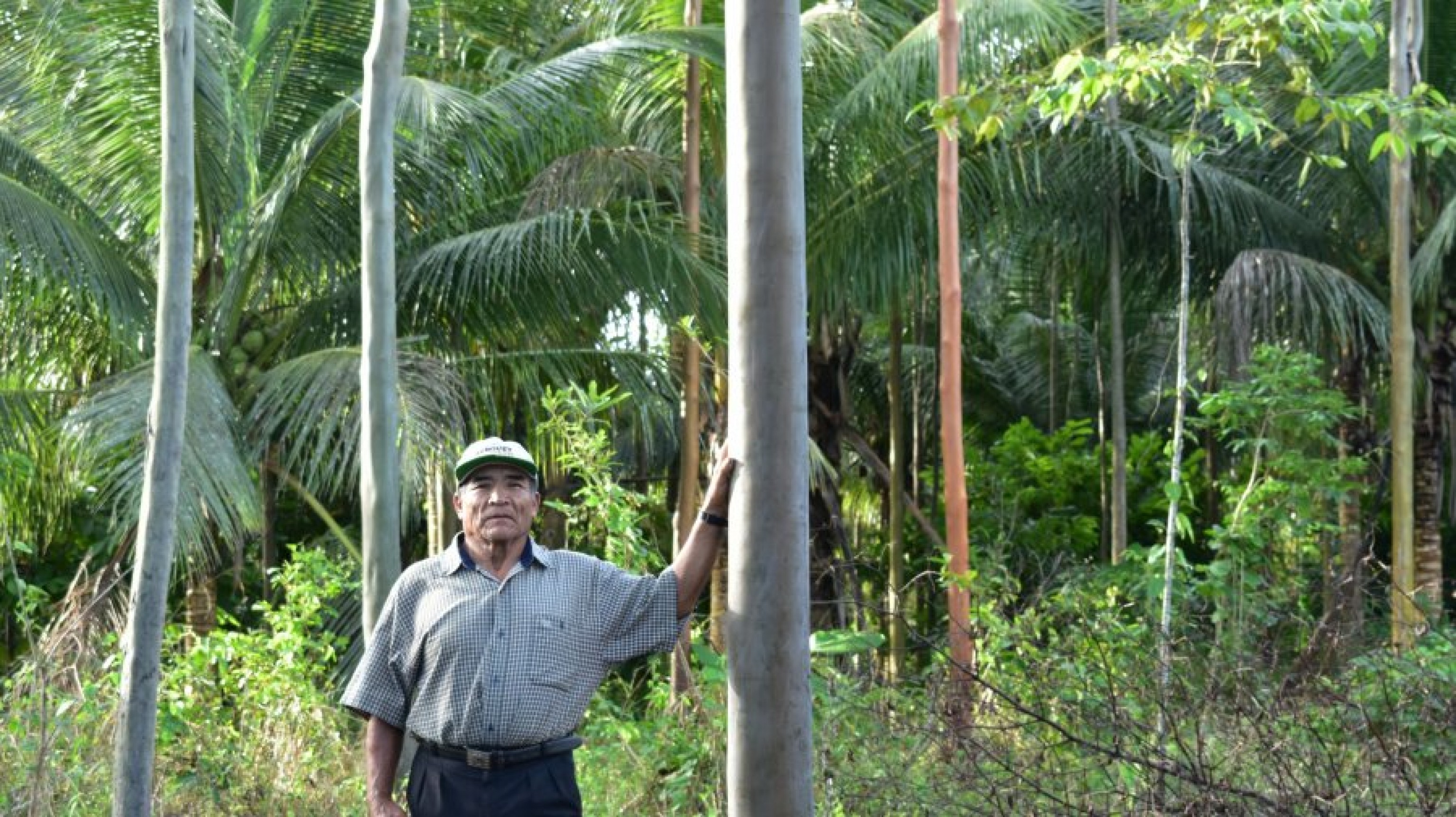 Peruvian smallholders become the largest group to obtain FSC forest management certification in ...