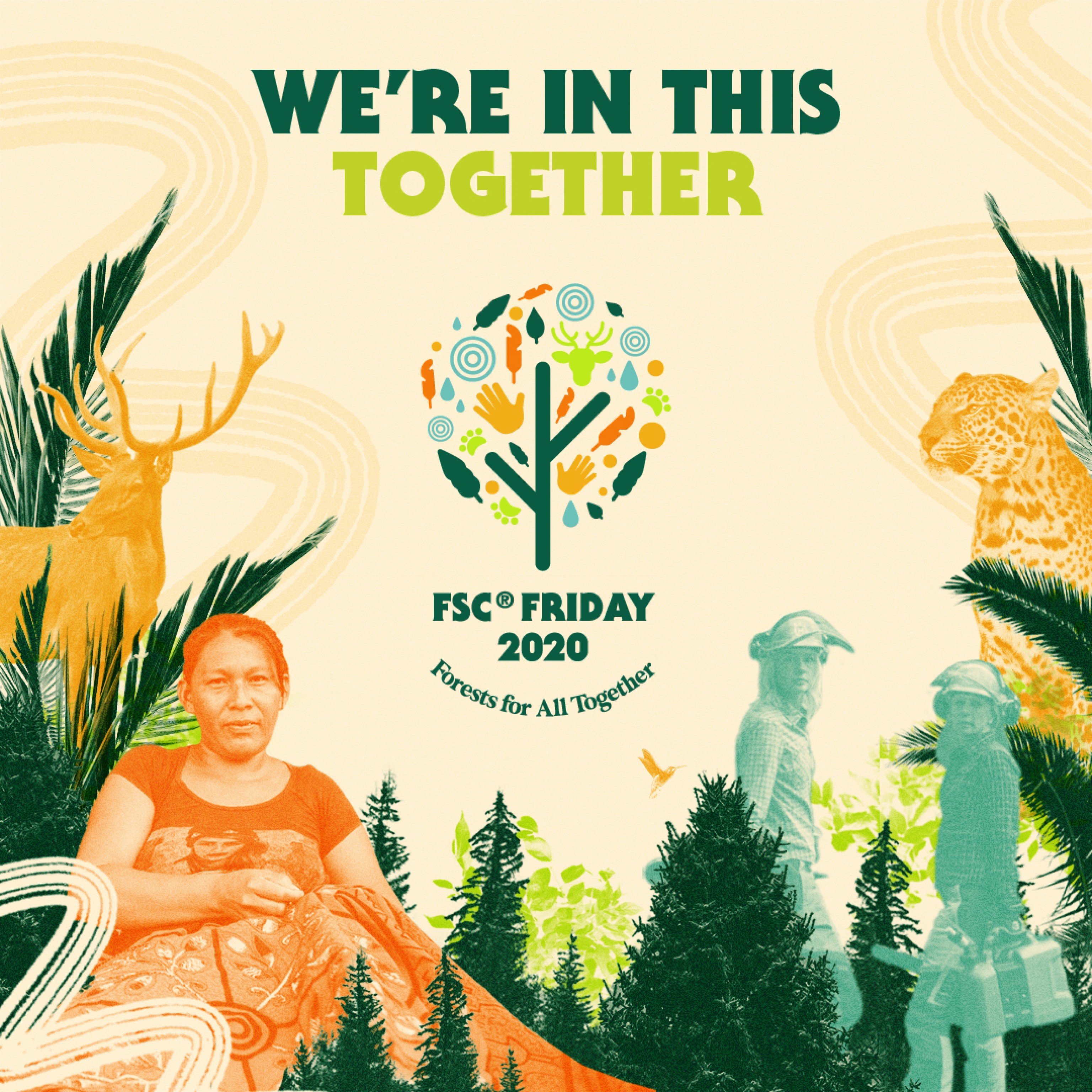 Celebrating Forests for All Together on FSC Friday | Forest Stewardship ...