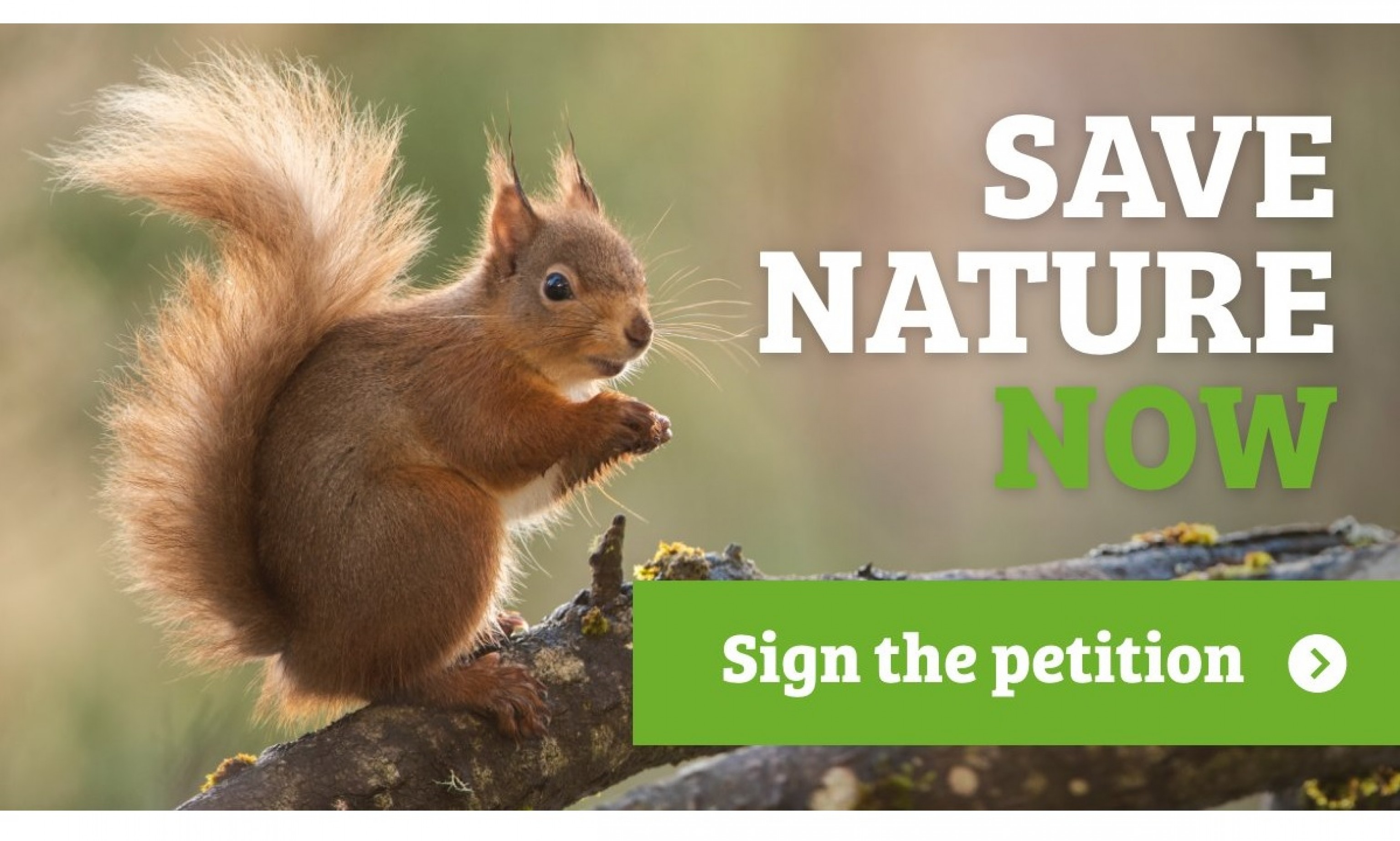 Letter to the Prime Minister: deliver on promises to protect nature, in ...