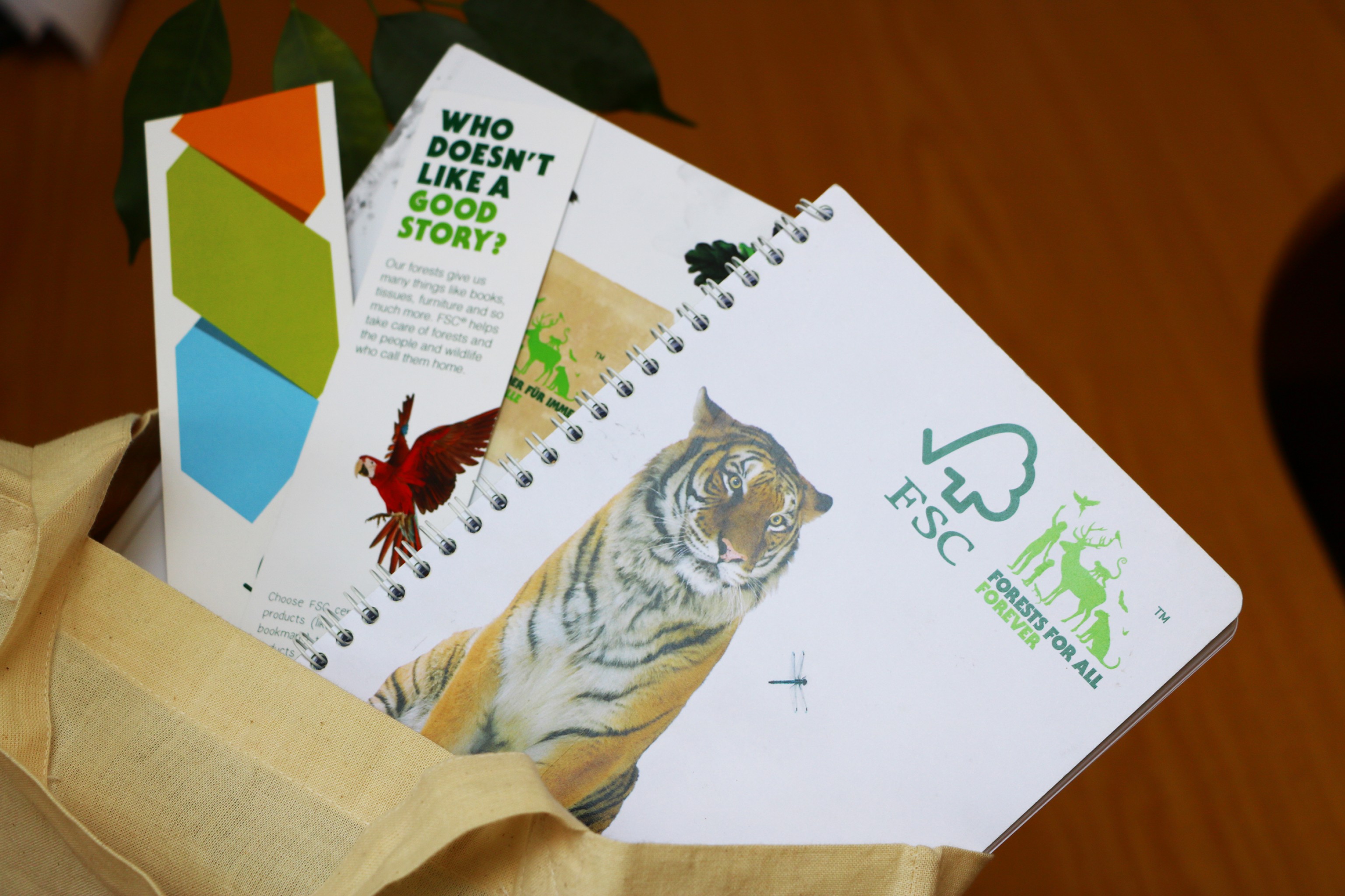 Communicating your FSC certification | Forest Stewardship Council UK