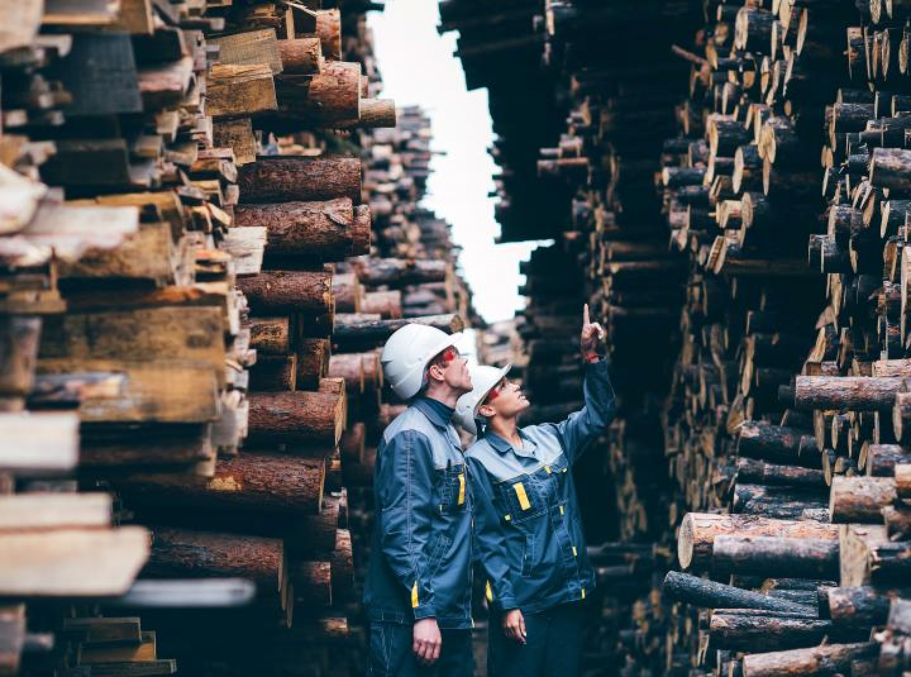 FSC Core Labour Requirements Implementation Update | Forest Stewardship ...