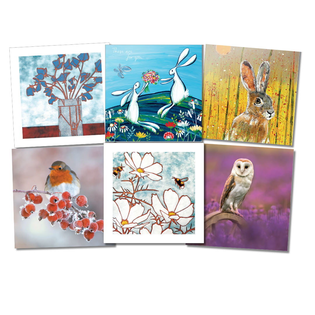 The Eco Friendly Card Co: 30 years of being green | Forest Stewardship ...