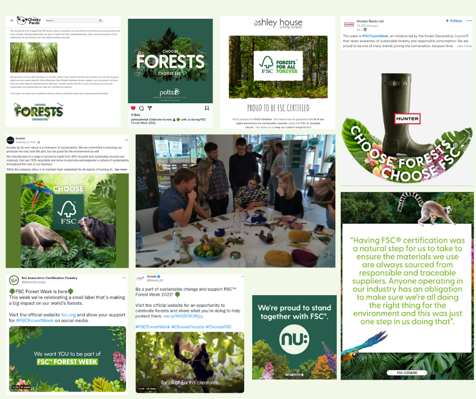 FSC Forest Week 2022 | Forest Stewardship Council UK